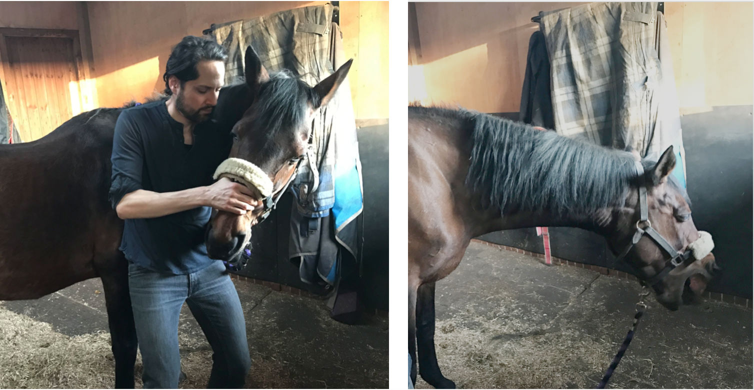How I work with horses